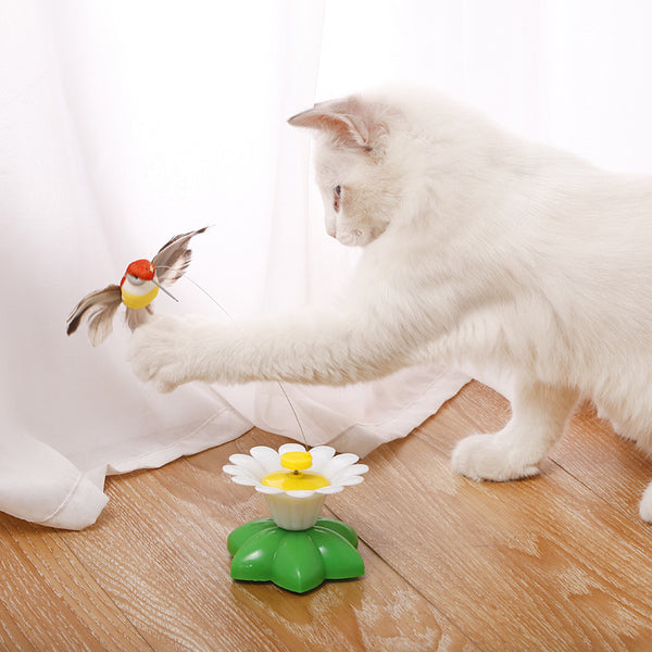 Smart auto-rotating funny cat - pawStuffs